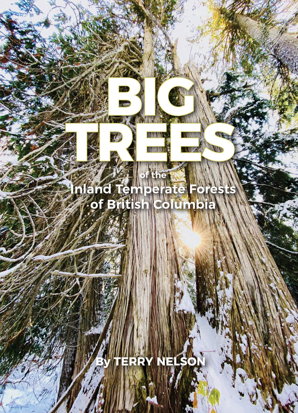 Big Trees of the Inland Temperate Forests of BC - Wilderness Committee