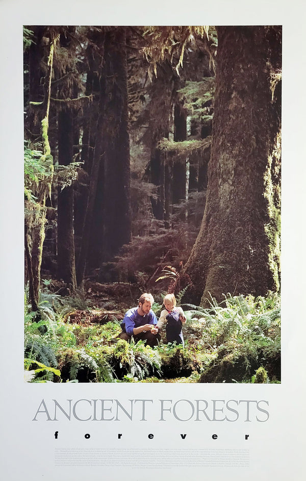 Big trees poster pack - Wilderness Committee