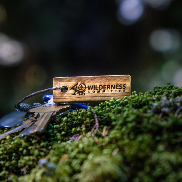 Upcycled Chopstick Keychain - Wilderness Committee